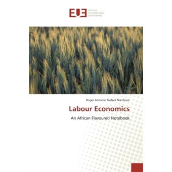 Labour Economics An African Flavoured Notebook - broché - Roger Antoine ...