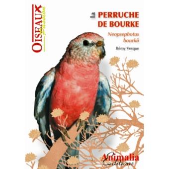 La perruche de Bourke Neopsephotus bourkii - broché - Remy Vesque ...