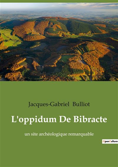 L'oppidum De Bibracte Un site archéologique remarquable - broché ...