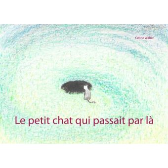 Le petit chat qui passait par là - broché - Céline Walter - Achat Livre ...