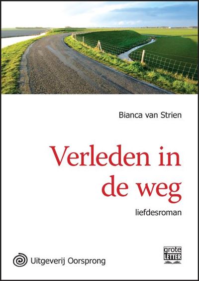Verleden in de weg liefdesroman - broché - Bianca Van Strien - Achat ...
