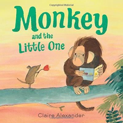 Monkey and little one - Poche - Claire Alexander - Achat Livre | fnac