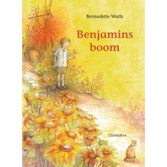 Benjamins boom - cartonné - Bernadette, Lisa Wade - Achat Livre | fnac