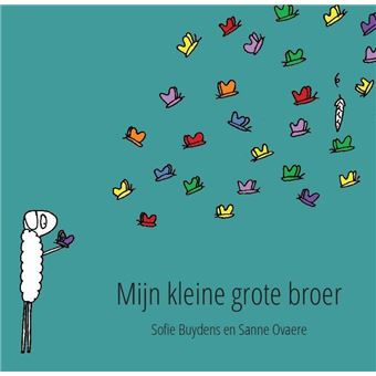 Mijn kleine grote broer - cartonné - Sanne Ovaere, Sofie Buydens ...