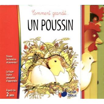 Un poussin - cartonné - Collectif - Achat Livre | fnac