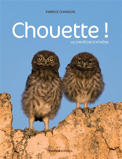Chouette ! La chevêche d'Athéna - relié - Fabrice Chanson - Achat Livre | fnac