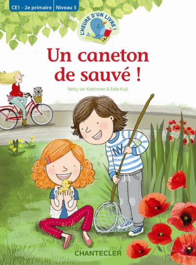 L'heure d'un livre ! Un caneton de sauvé ! CE1 2ème primaire Niveau 5 ...
