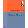 Mind, Self & Society from the Standpoint of a Social Behaviourist ...