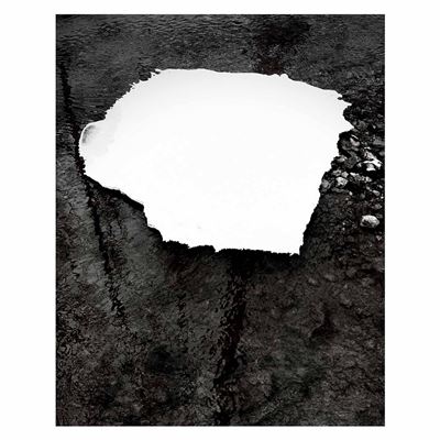 Everything Is Simple - Zelienople - Collectif - Vinyle album - Achat ...