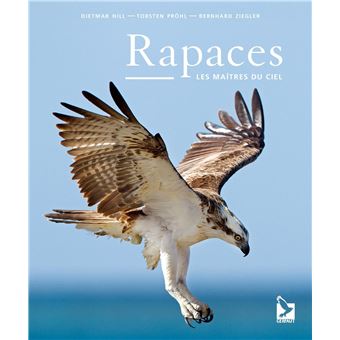 Rapaces Les maîtres du ciel - Dernier livre de Dietmar Nill - Précommande & date de sortie | fnac