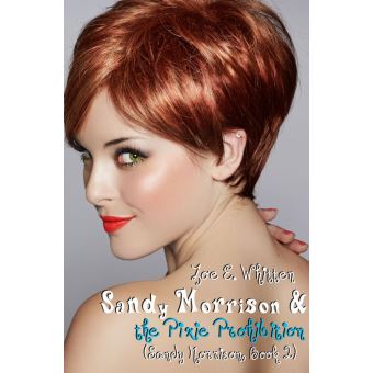 Sandy Morrison #2 - Sandy Morrison and the Pixie Prohibition - Zoe E ...