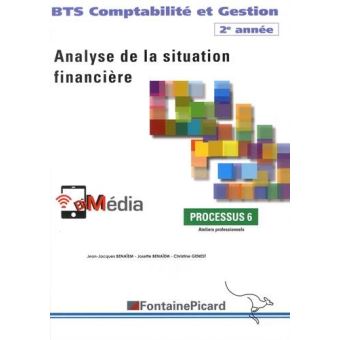 Analyse de la situation financière, BTS CG 2ème année, Processus 6 ...