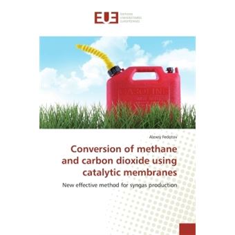 Conversion of methane and carbon dioxide using catalytic membranes New ...