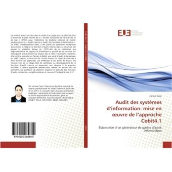 Audit des systèmes d'information: mise en oeuvre de l'approche Cobit4.1 Élaboration d’un ...