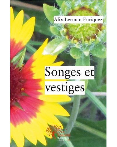 Songes et vestiges - broché - Alix Lerman Enriquez - Achat Livre | fnac
