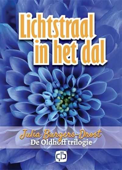 Grote letter bibliotheek - grote letter uitgave Tome 3171 - Lichtstraal ...