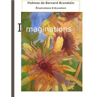 Imaginations - broché - Bernard Brunstein - Achat Livre | fnac