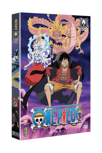 One Piece - Pays de Wano 11 Édition Limitée DVD - Précommande & date de sortie | fnac