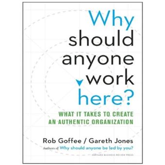 Why should anyone work here? - relié - Rob Goffee - Achat Livre ou ...