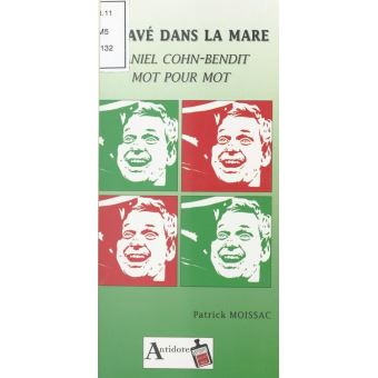 Pensées d'un pavé dans la mare pensées d'un pavé dans la mare - Daniel Cohn-Bendit, Patrick ...
