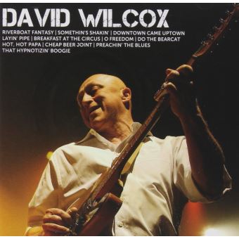 Icon - David Wilcox - CD album - Achat & prix | fnac