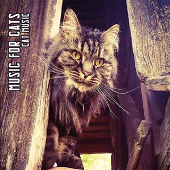 Cat Music Édition Limitée - Music For Cats - CD album - Achat & prix | fnac