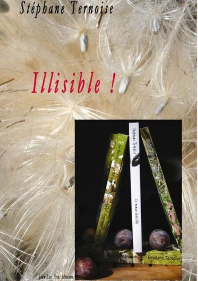 Illisible ! - ebook (ePub) - Stéphane Ternoise - Achat ebook | fnac