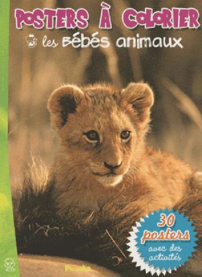 Les bébés animaux Posters à colorier - broché - Collectif - Achat Livre ...