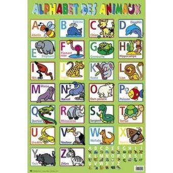 Alphabet des animaux Posters recto verso - broché - Collectif - Achat ...