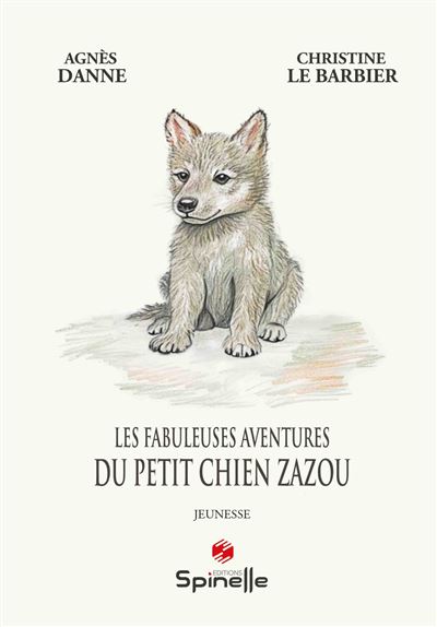 Les fabuleuses aventures du petit chien Zazou - broché - Agnès Danne ...