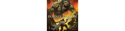 FUTURE OF FANTASY ART NOW - cartonné - Ally Fell - Achat Livre | fnac