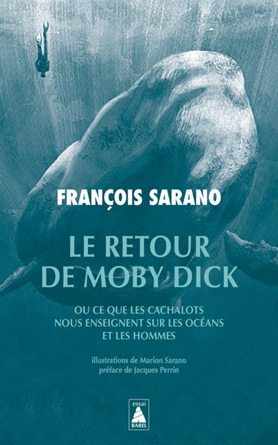 Le retour de Moby Dick Ou ce que les cachalots nous enseignent sur les ...