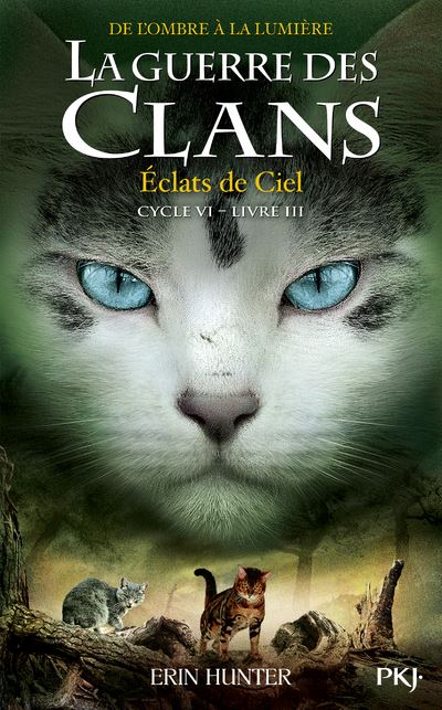 La Guerre Des Clans - Tome 3 - La Guerre des clans - Cycle VI - tome 3 Éclats de Ciel - Erin ...