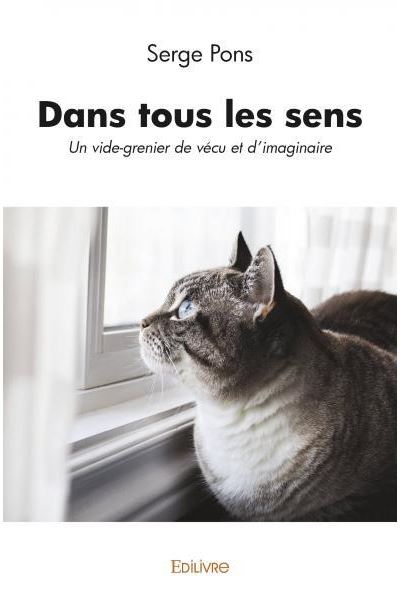 Dans tous les sens Un vide-grenier de vécu et d'imaginaire - broché ...