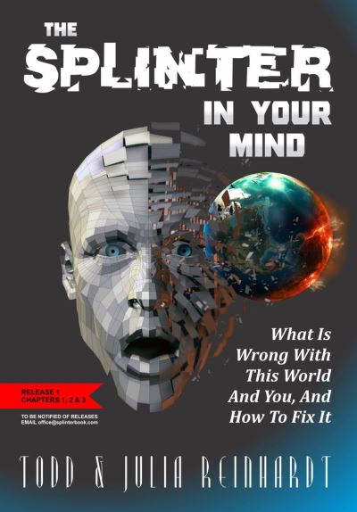 The Splinter In Your Mind What's Wrong With The World And You, And How To Fix It - ebook (ePub ...