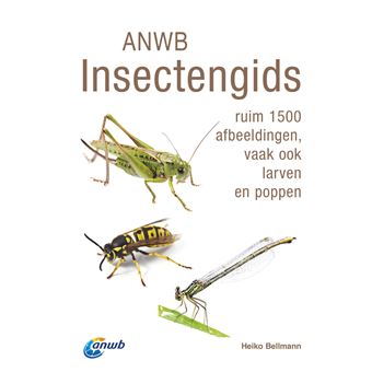 ANWB-gidsen - Ruim 1500 afbeeldingen - vaak ook larven en poppen - ANWB ...