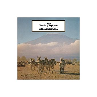 Kilimanjaro - The Teardrop Explodes - Vinyle album - Achat & prix | fnac