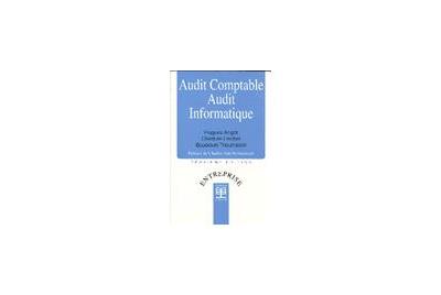 Audit comptable audit informatique - Christian Fischer, Hugues Angot ...