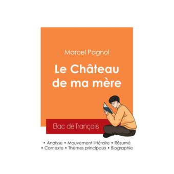 Réussir son Bac de français 2025 : Analyse du roman Le Château de ma ...
