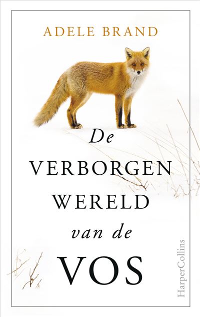 De verborgen wereld van de vos - cartonné - Adele Brand, Arthur Wevers ...
