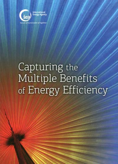 Capturing the Multiple Benefits of Energy Efficiency A Guide to ... Capturing the Multiple Benefits of Energy Efficiency A Guide to ...