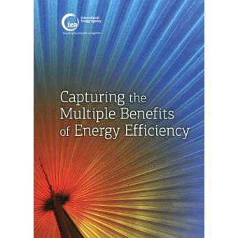 Capturing the Multiple Benefits of Energy Efficiency A Guide to ...