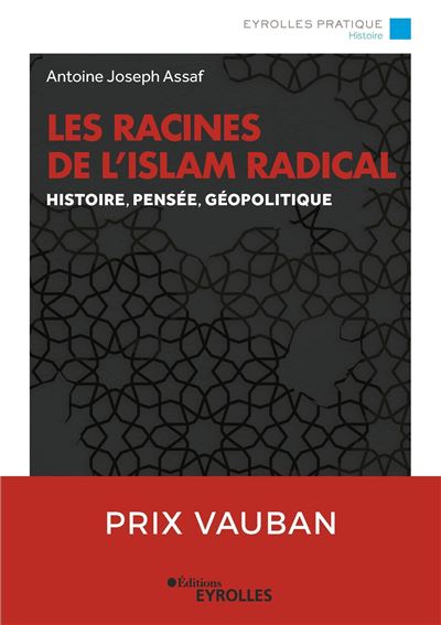Les racines de l'islam radical Histoire, pensée, géopolitique - broché ...