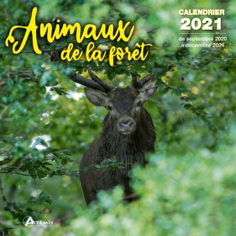 Calendrier Animaux de la forêt 2021 - broché - Antony Porte - Achat ...