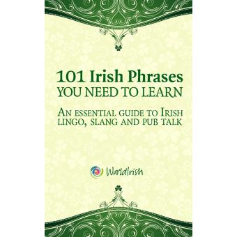 101 Irish Phrases You Need To Know An essential guide to Irish lingo, slang and pub talk - ebook ...