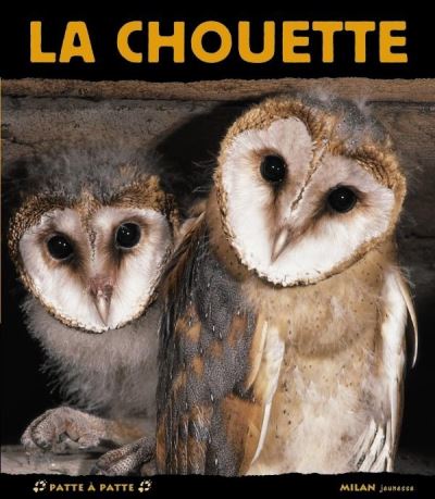 Chouette (la) - cartonné - Jean-Louis Vallée - Achat Livre | fnac
