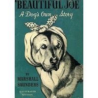 Beautiful Joe - (autres ebooks…) | fnac