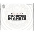 Steam Reverie in Amber Edition deluxe - broché - Mori Kuroi - Achat ...