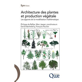 Architecture des plantes et production végétale Les apports de la ...