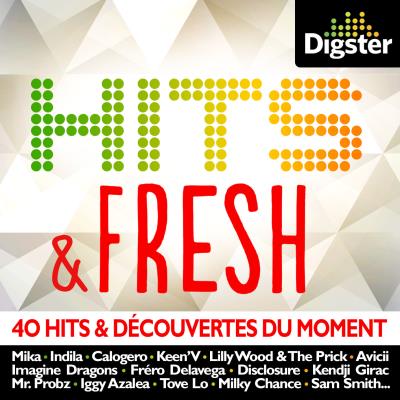 Digster hits 2014 - Compilation - CD album - Achat & prix | fnac